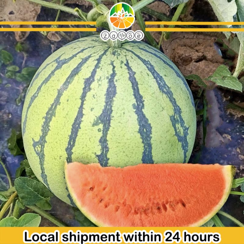 Round Watermelon Seeds (10 Seed) F1 Hybrid Sweet Watermelon Seeds for ...