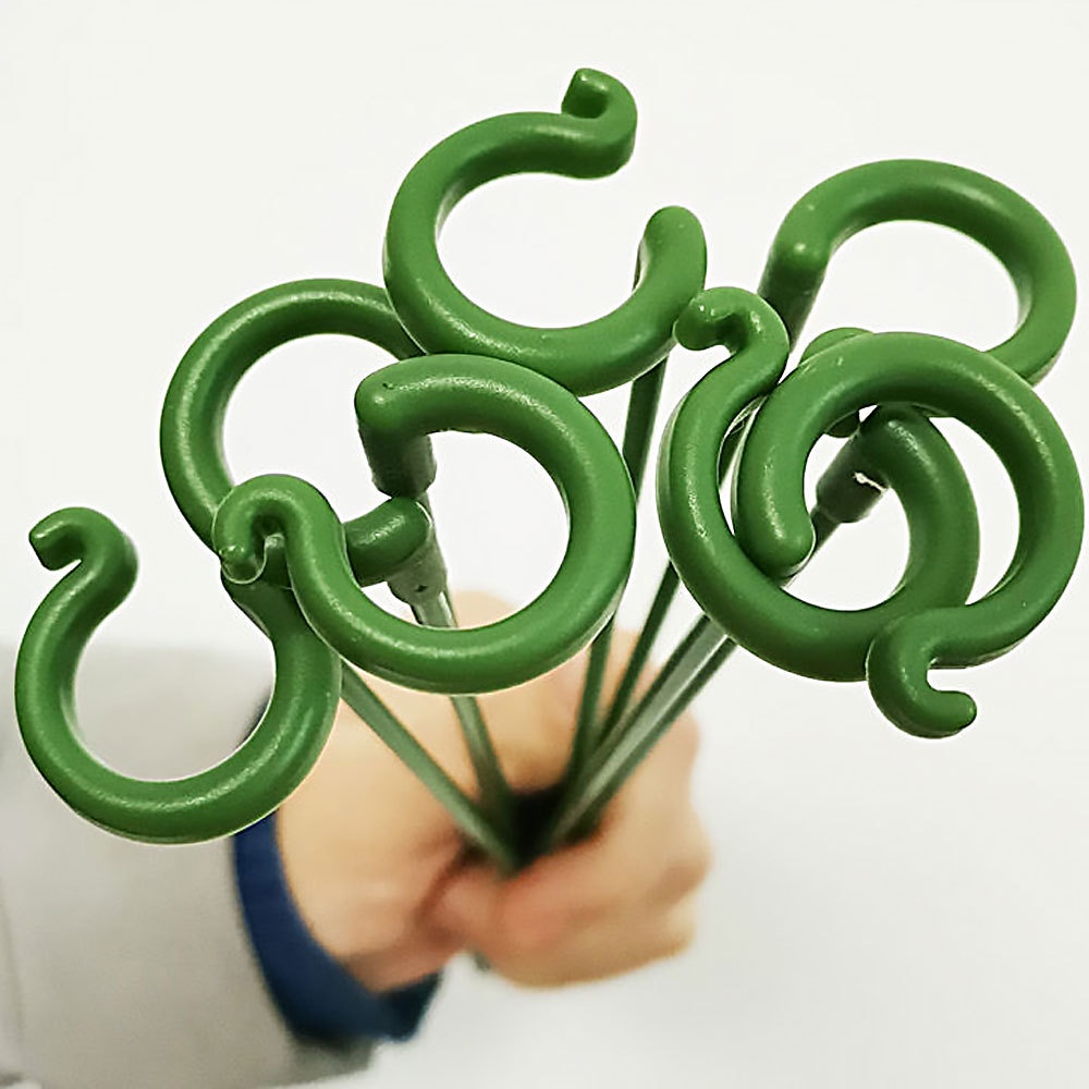 10pcs Outdoor Garden Rose Vine Hydrangea Macrophylla Bracket Plant ...