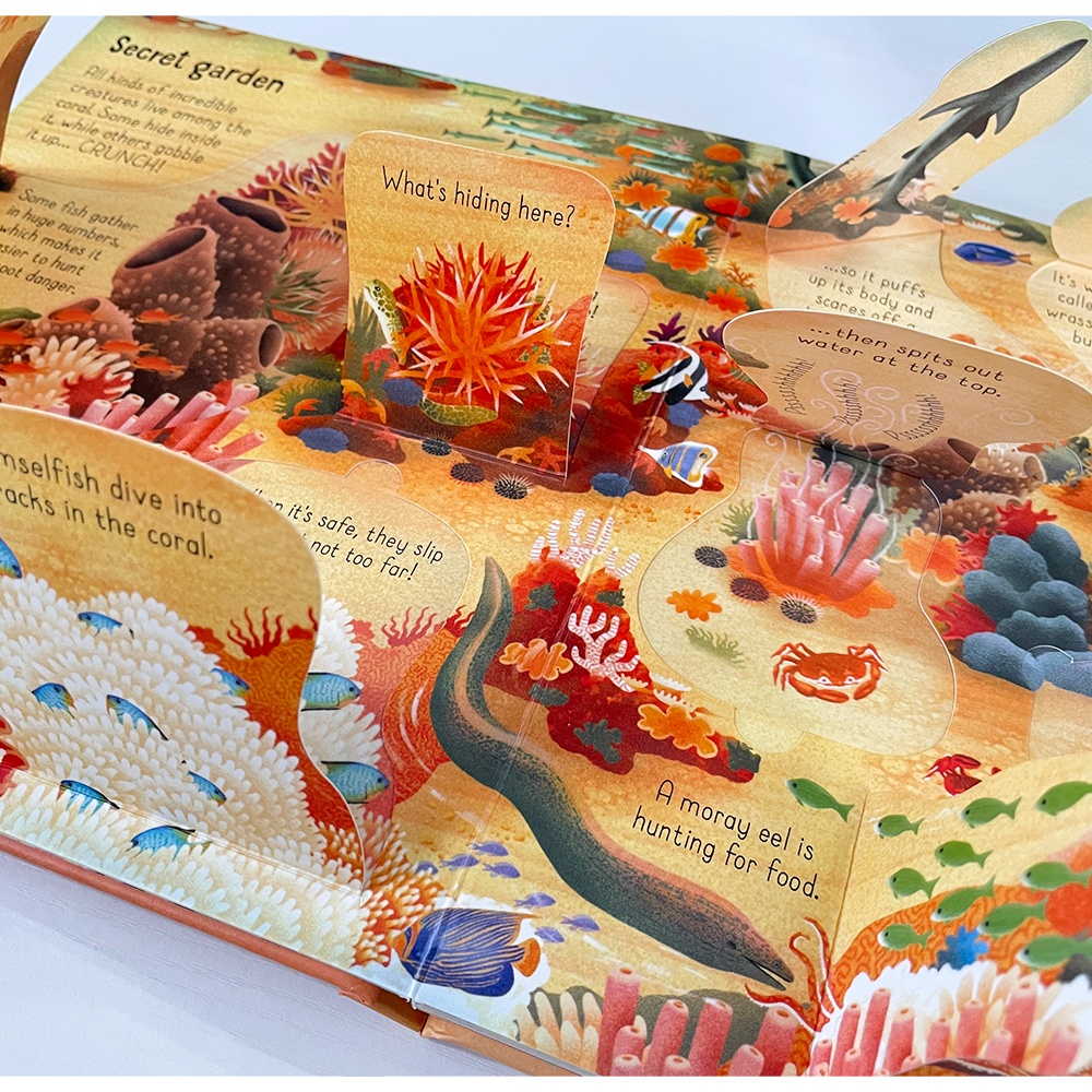 Usborne Look Inside A Coral Reef Educational Picture Books for Children ...