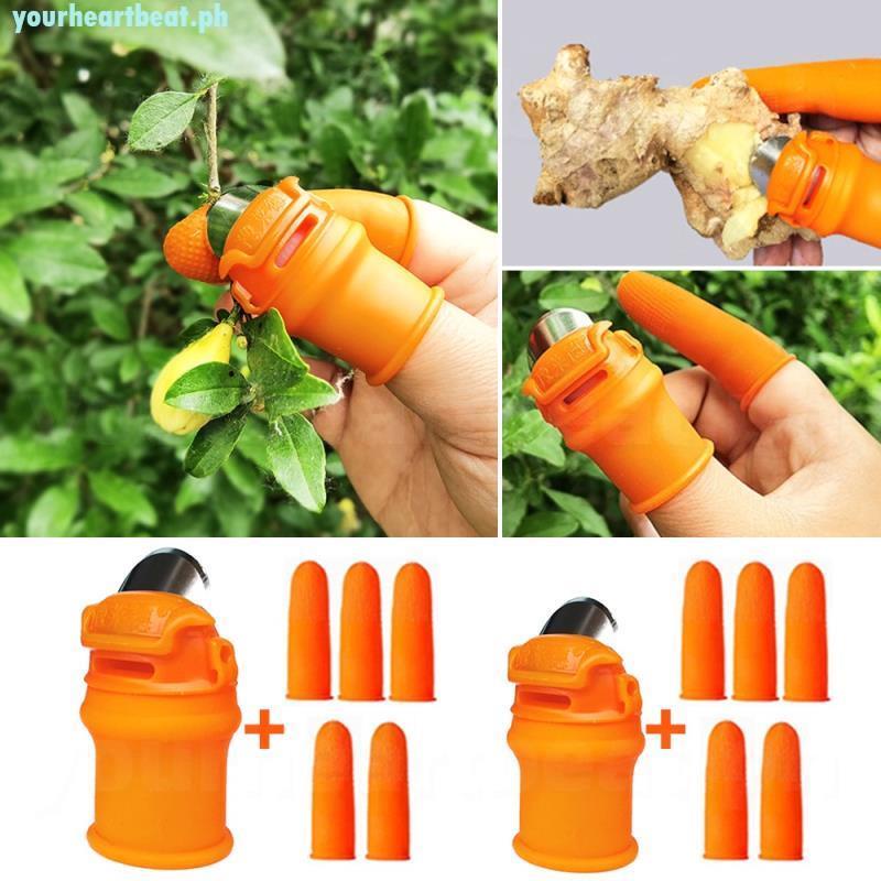 Farm Vegetable Fruit Picker Pickle Pepper Pickle Tip Picker Iron Nail ...