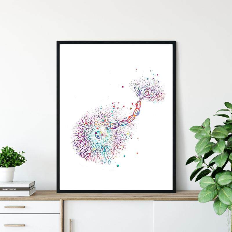 Neuron Watercolor Neurology Art Poster Prints Brain Anatomy Medicine ...
