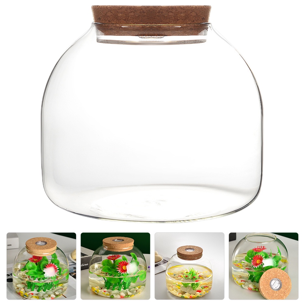 Eco Bottle Ornaments Large Fish Bowl with Lid Plants Indoor Terrarium ...