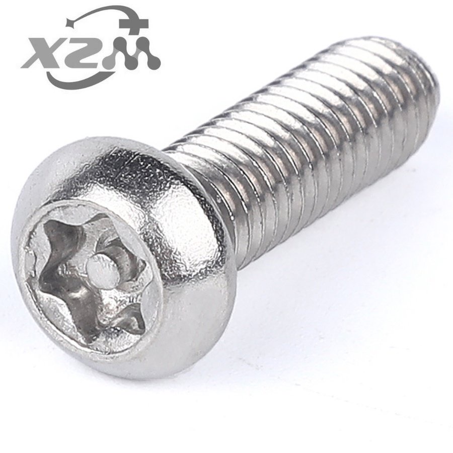 Fast Shipping] M6/M8/M10 Round Head Torx Anti-Theft Screw With Needle ...