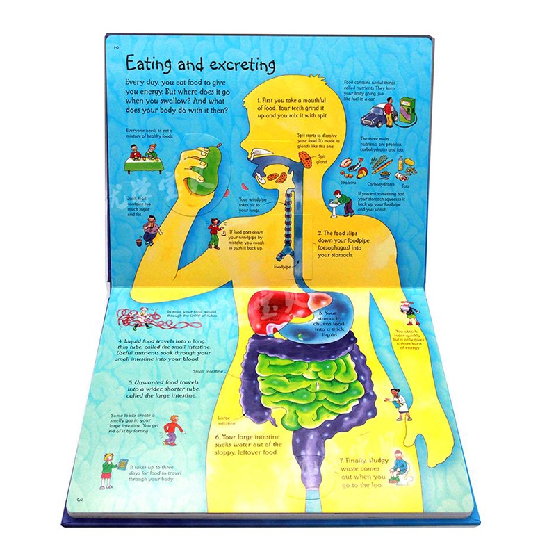 Usborne See Inside Your Body 3D Flap Picture Books for Kids Children ...