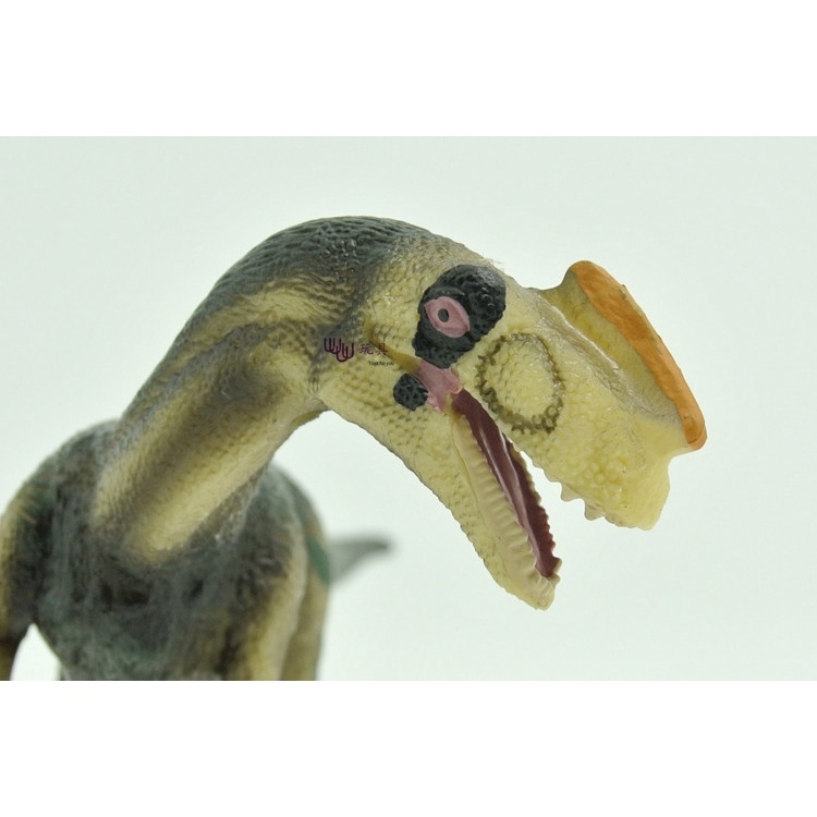 ♞Wholesale Manufacturers♞Simulation dinosaur toy model set ...