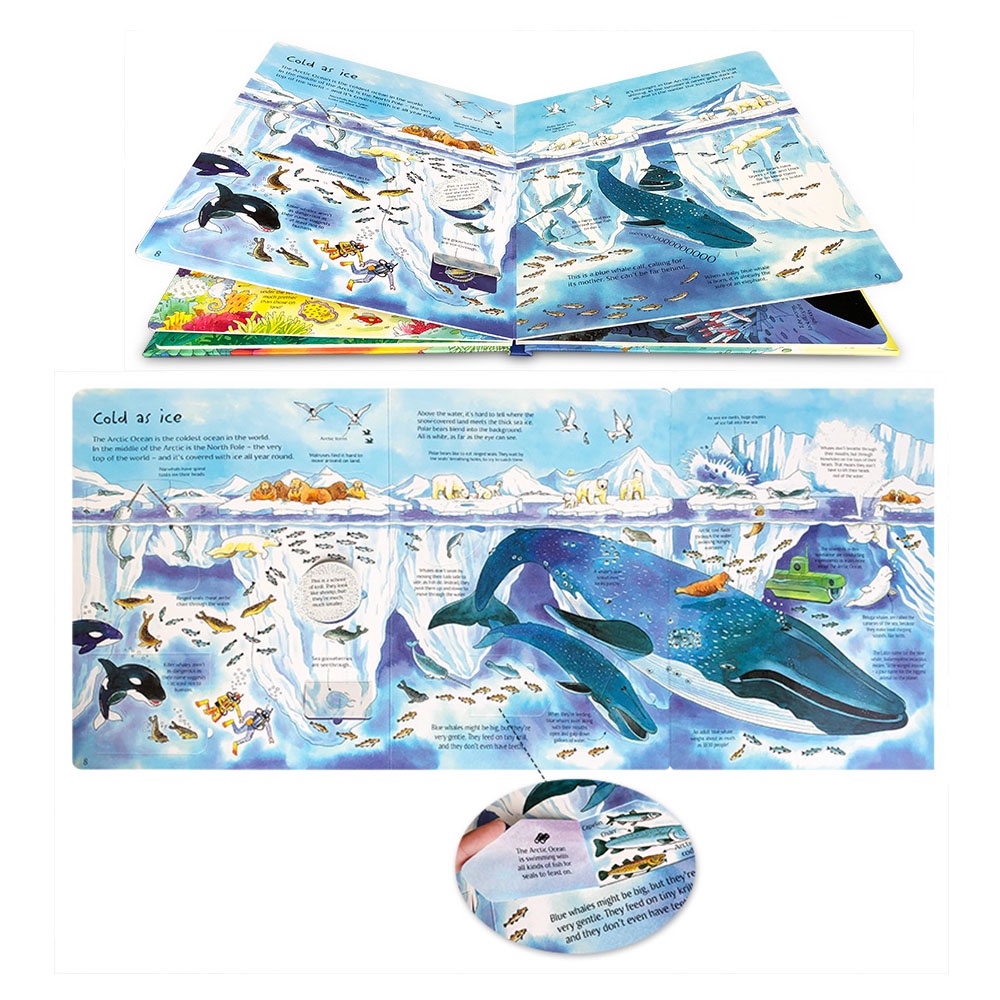 Usborne See Under The Sea Montessori 3D Flap English Picture Book for ...