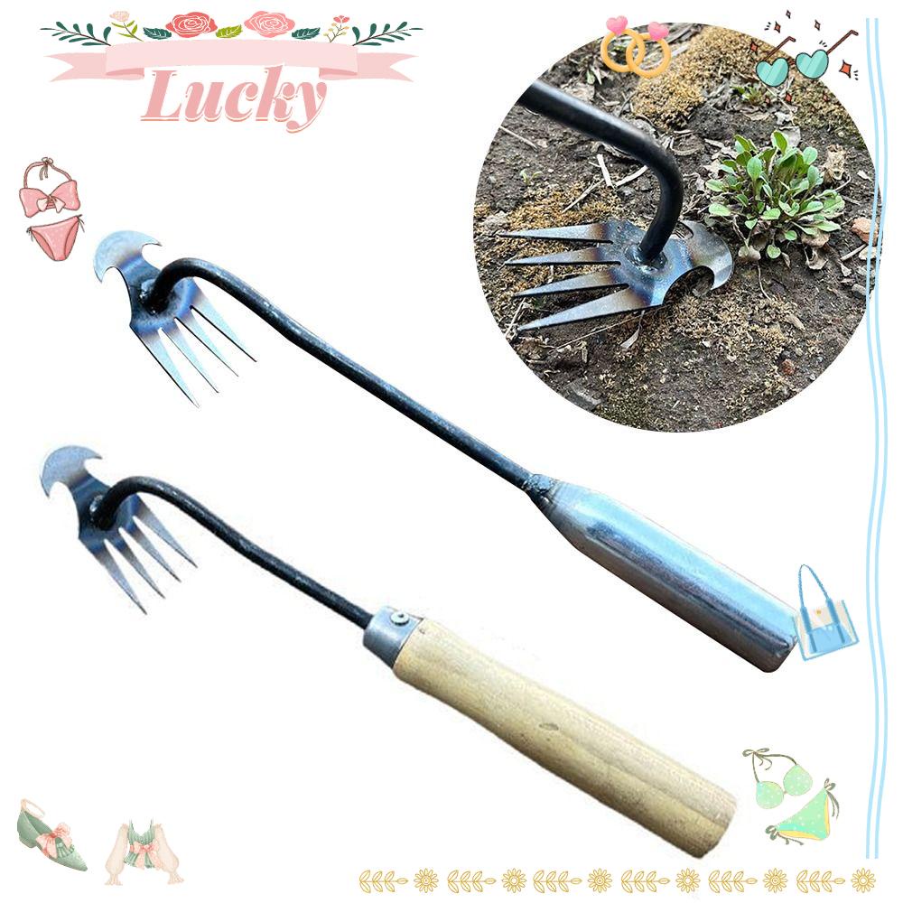 LUCKY Weeding Tool High Quality Uprooting 4 Teeth Weeders Weed Remover ...