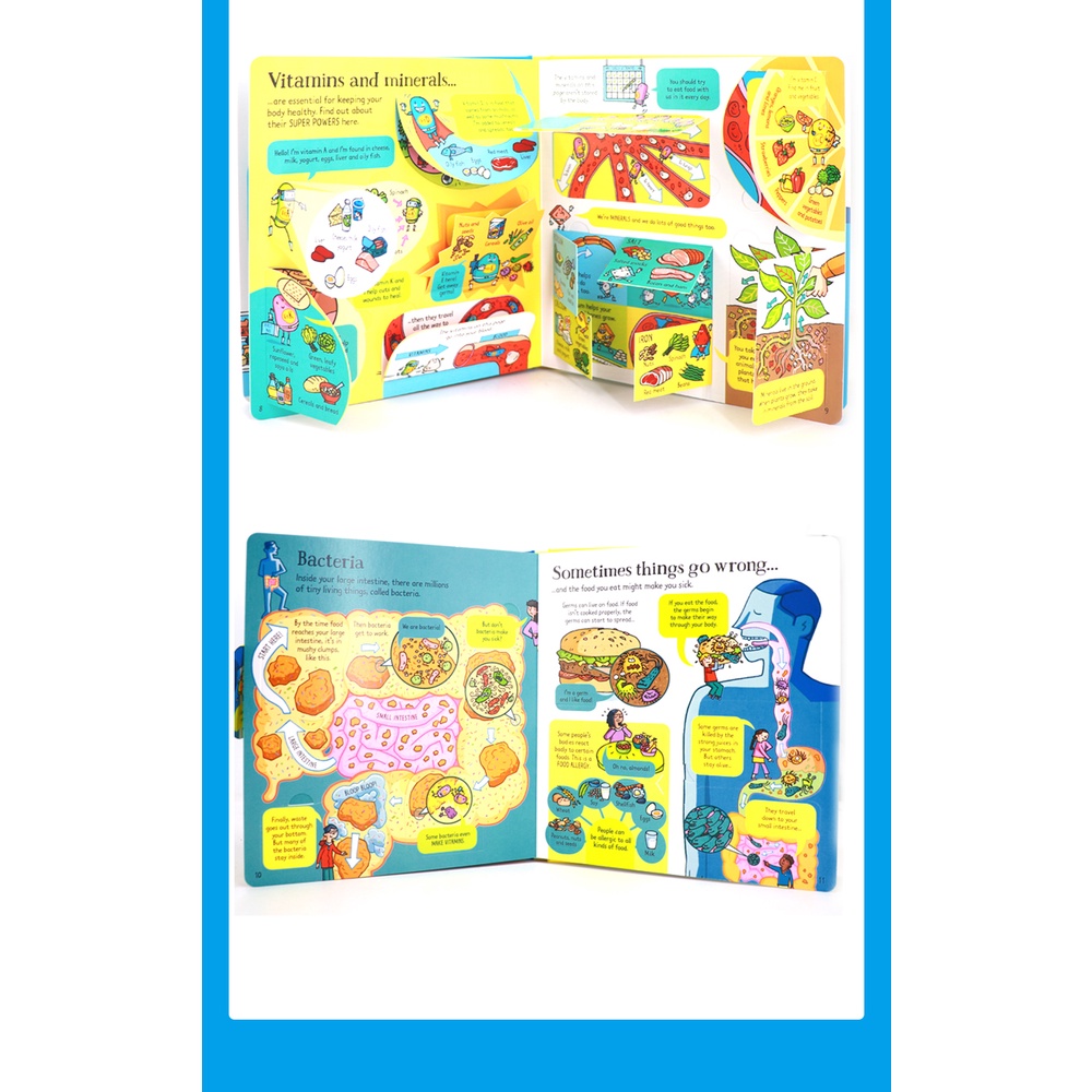 Usborne Look Inside What Happens When You Eat English 3D Flap Picture ...
