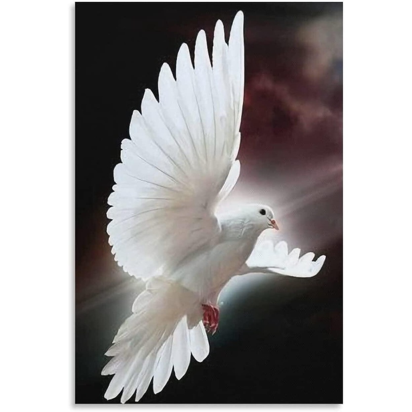 Bird Beautiful White Dove Poster Decorative Painting Canvas Wall Art ...