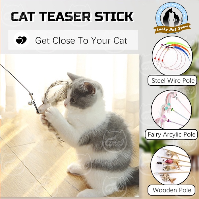 Cat Teaser Pet Cat Puppy Teaser Bell Feather Retractable Stick Rod Pet ...