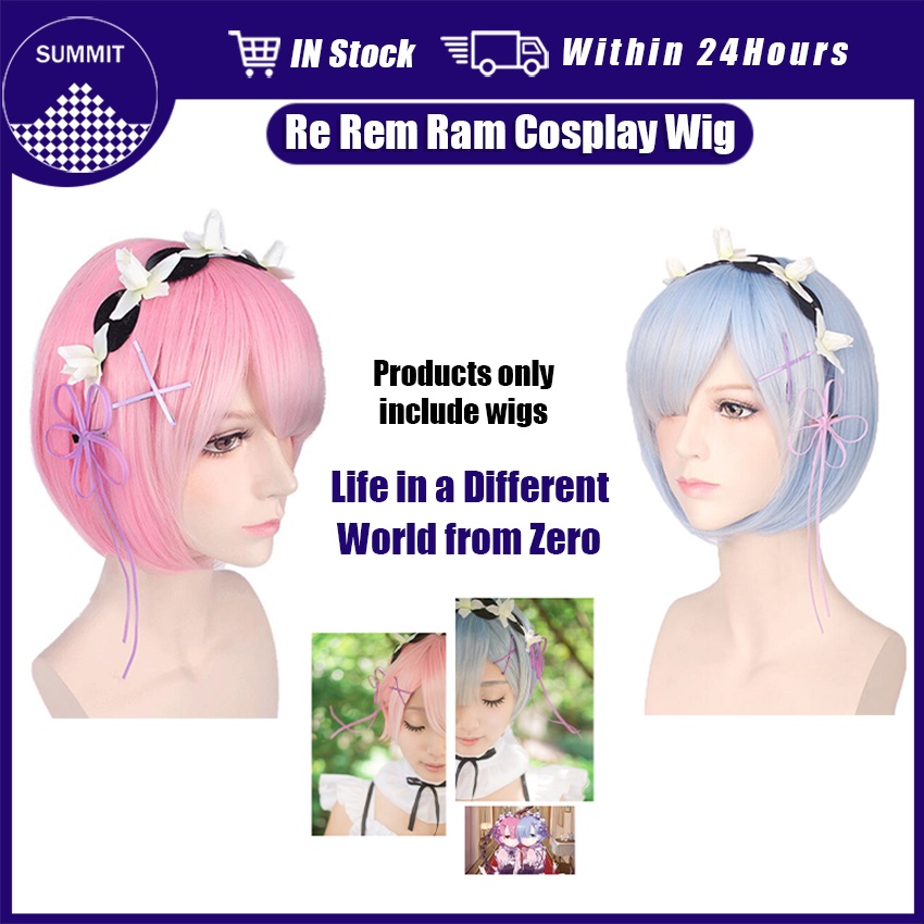 Re:Zero Rem Ram Emilia Cosplay Wig Blue and Pink Twins Cosplay Heat ...