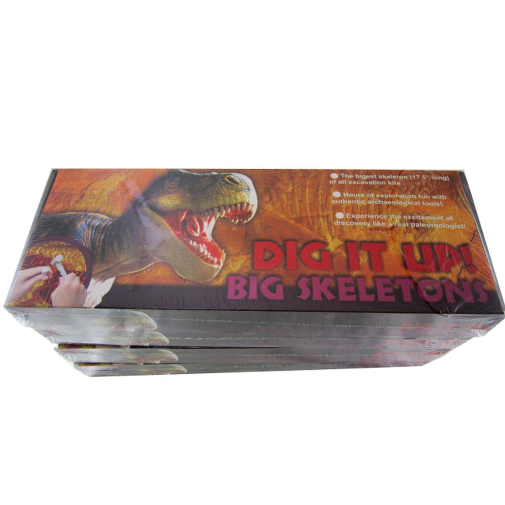 Fossil Big Scale Leton Dig Kit (Display Model Model) | Shopee Philippines