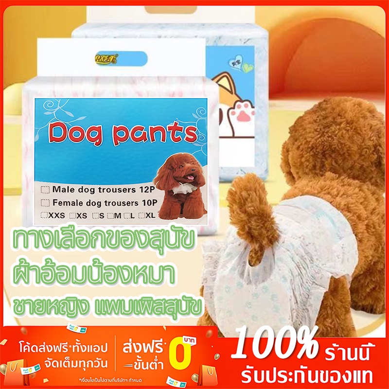 Pampers Dog Obi Male Diapers Female Sanitary Pads | Shopee Philippines