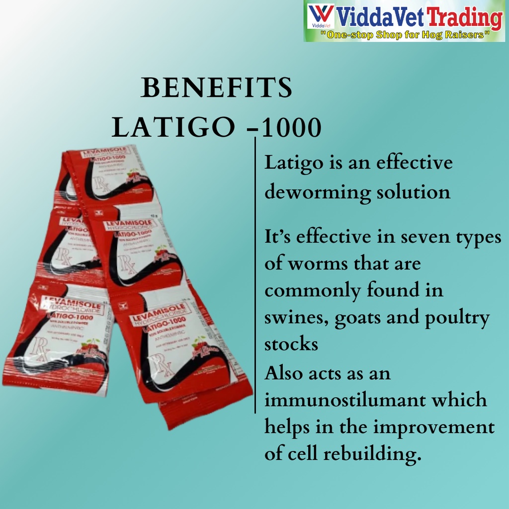 Latigo 1000 (10% Soluble Powder) Anthelmintic/ deworming for swine and ...