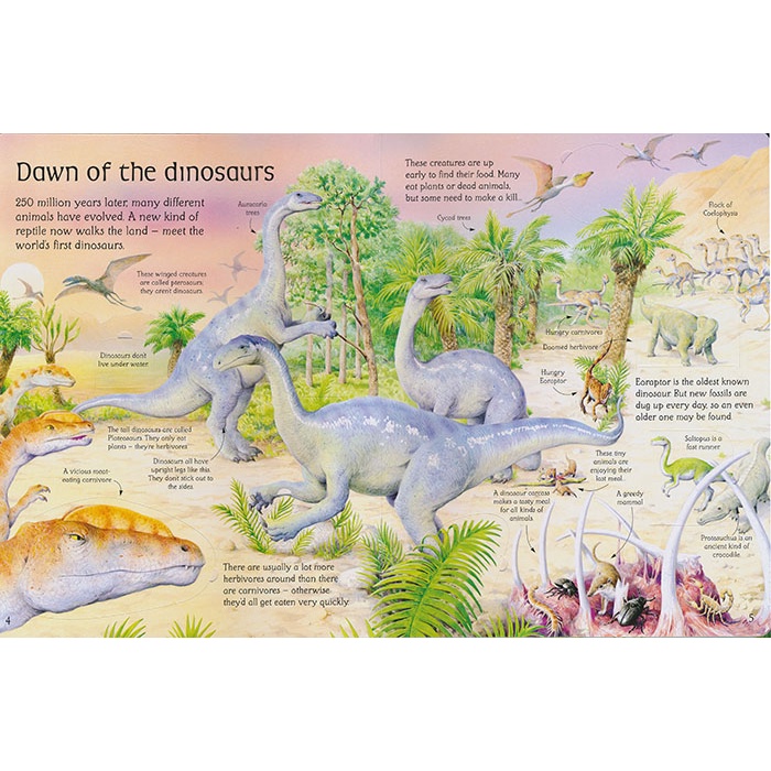 Usborne See Inside World of Dinosaurs Montessori Popular Science ...