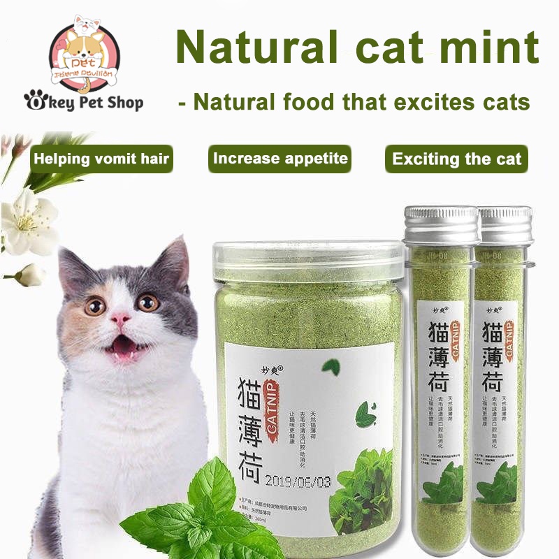 50ml Catnip Treat for Cat Treat Catnip catnip powder and catnip ball ...