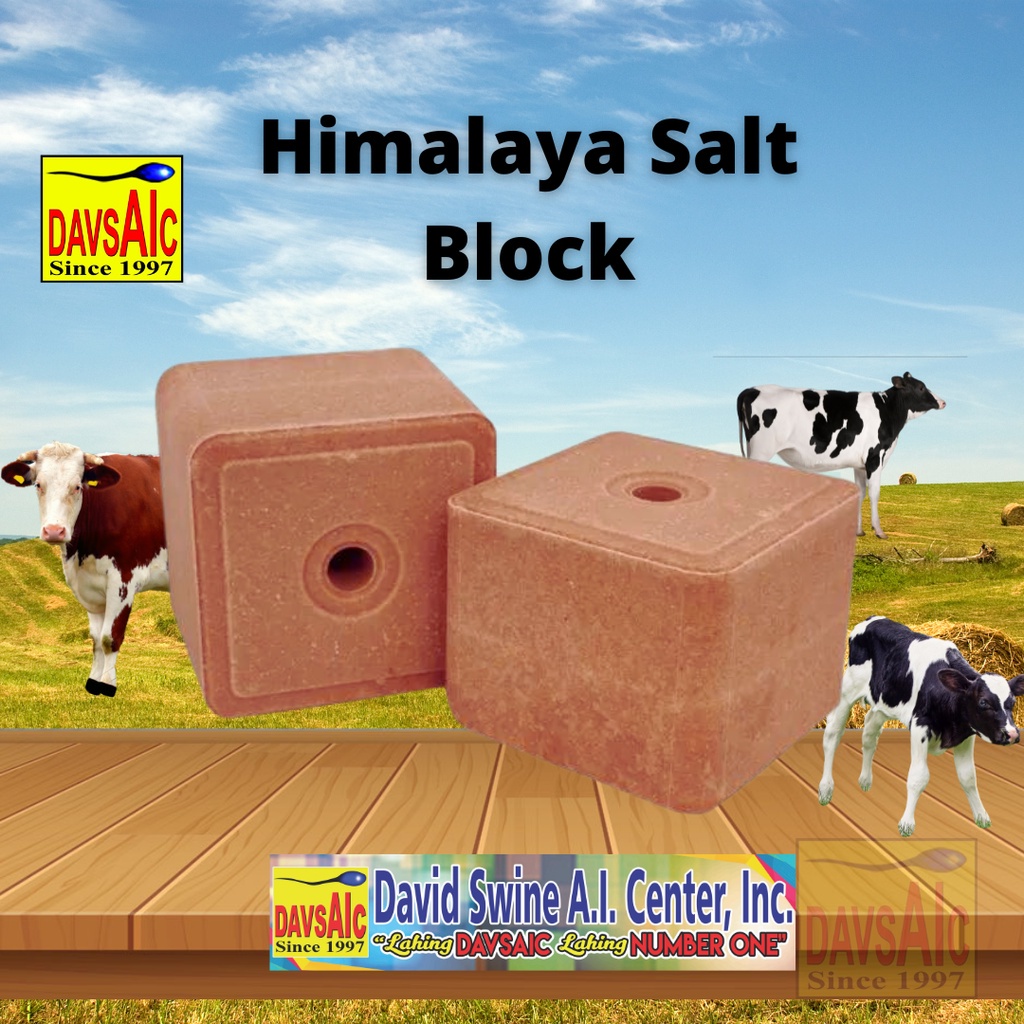 Himalayan Animal Licking Pink Salt Lick Horse Cattles Goats Sheep Pure ...