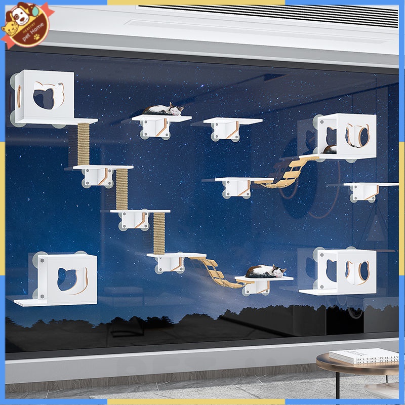 Solid wood cat Wall sucker cat climbing frame Glass Cat Wall non ...