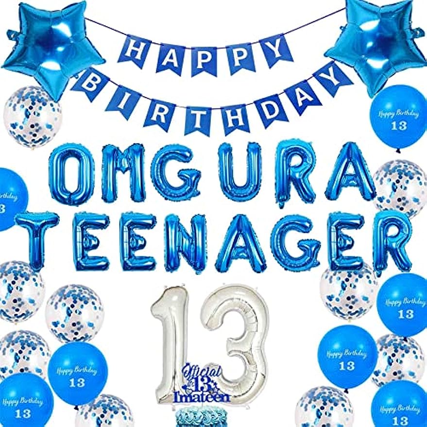 13th Birthday Decorations Blue for Kids Happy Birthday Banner Omg Ur A ...