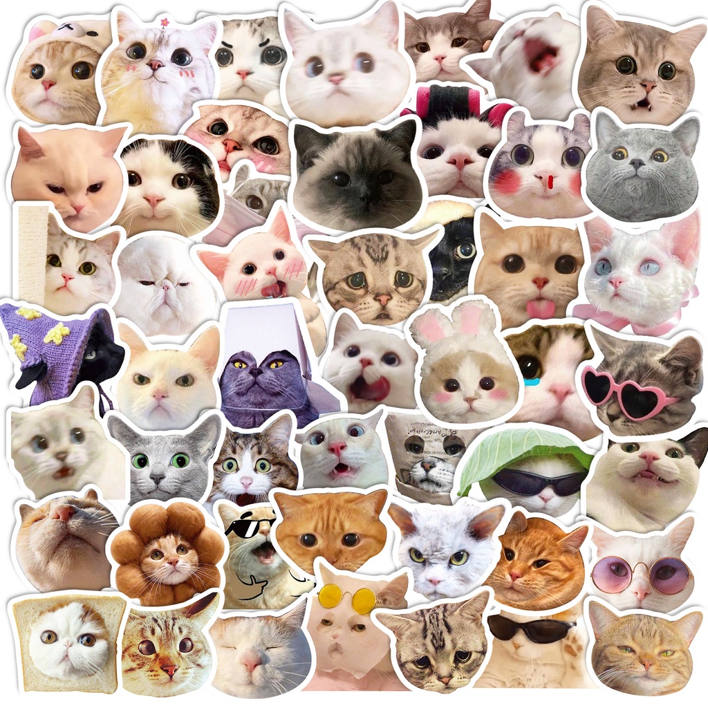 Y&P| Cat Meme Emoji Stickers Set Cartoon Graffiti Waterproof Decals ...