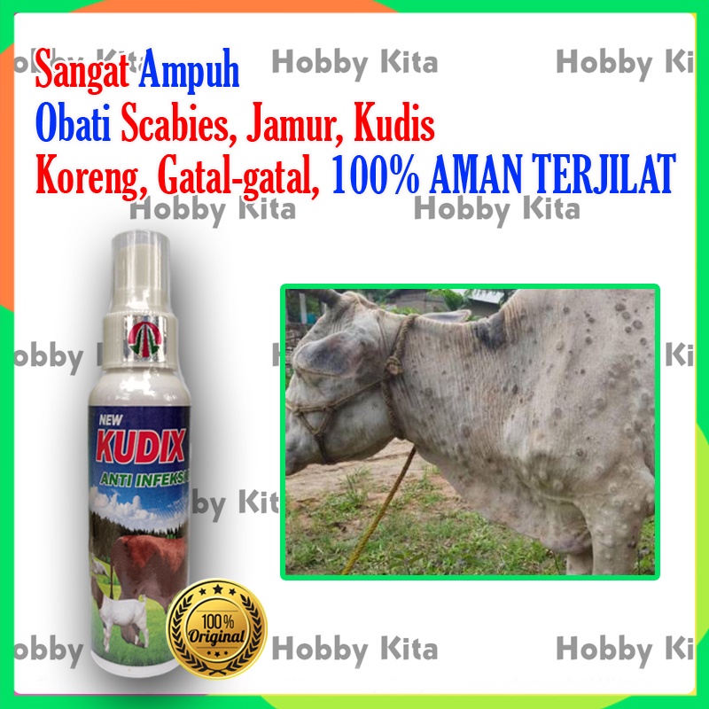 Kudix Spray 120 ml Medicine for Scabies Eczema Scabs Itching in Cattle ...