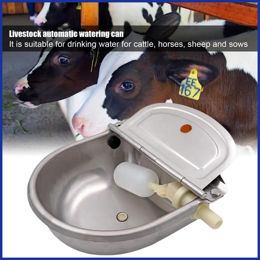 Livestock Watering Bowl Pig Waterer Automatic Water Dispenser For Dogs ...