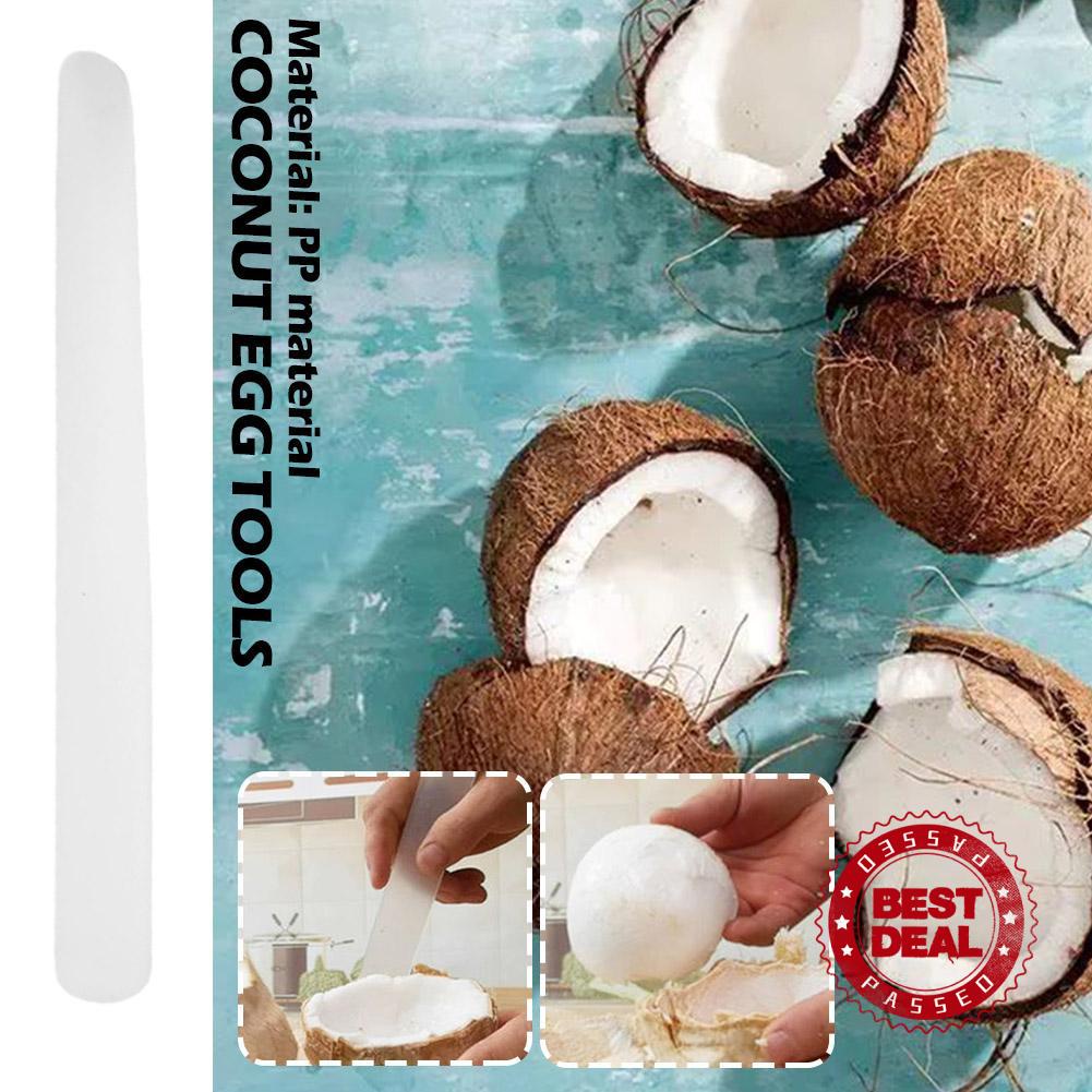 Veromoda Coconut Meat Scraper Plastic Coconut Meat Remover Digging Egg ...
