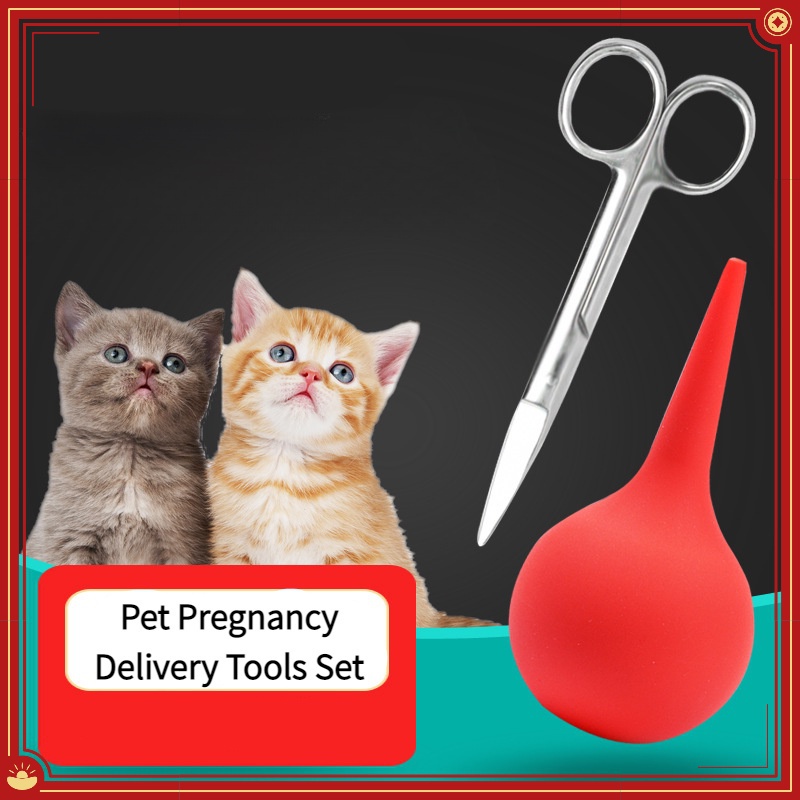 Pet dog amniotic fluid aspirator Cat nasal aspirator Pregnancy and ...