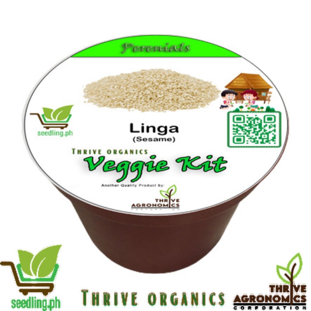 Linga Sesame Veggie Kit Grow Kit Seedling Kit Starter Kit Planting Kit ...