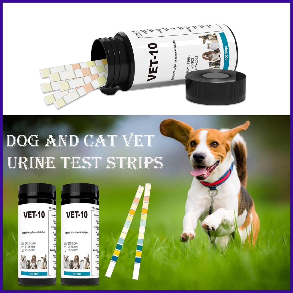 Pet Urine Testing Strips 10 In 1 Urinalysis Parameter Tests For ...