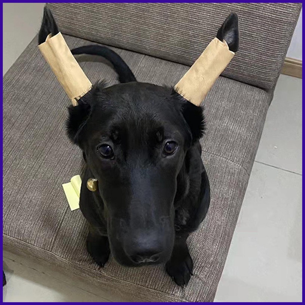 Dog Ear Posting Kit Fixed Ear Stand Up for Dogs Pet Dog Ear Fixed ...