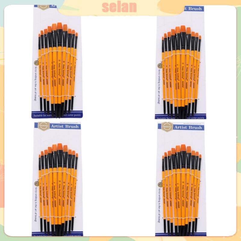 SELAN Paint Brush Set Artist Paint Brushes-Nylon Hair 10 Different ...