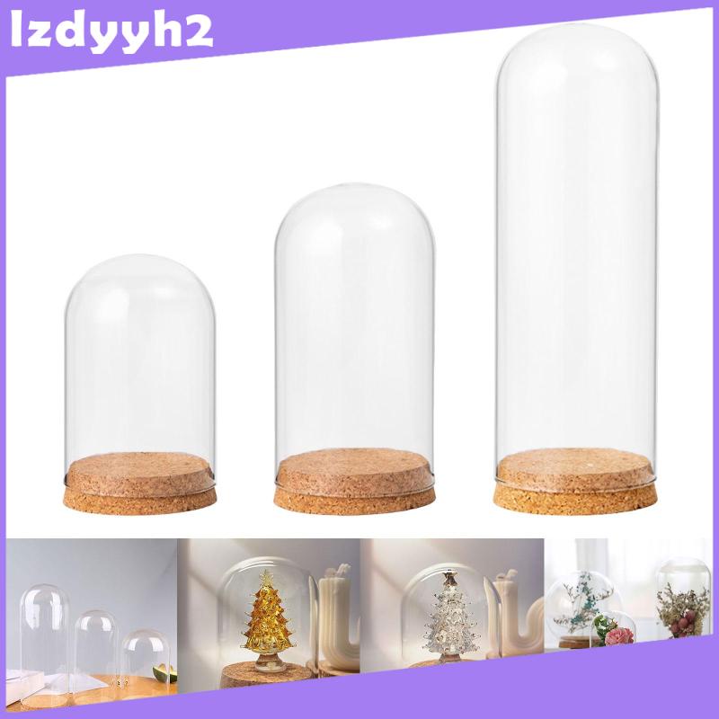[Lzdyyh2] Glass Display Cloche Dome Tabletop Centerpiece Clear Bottles ...