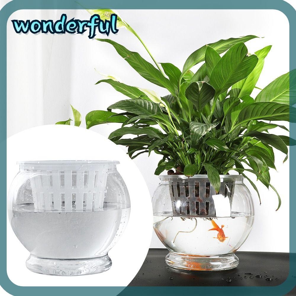 WONDER Hydroponic Planter, Garden Supplies Self Watering Lazy Plant Pot ...