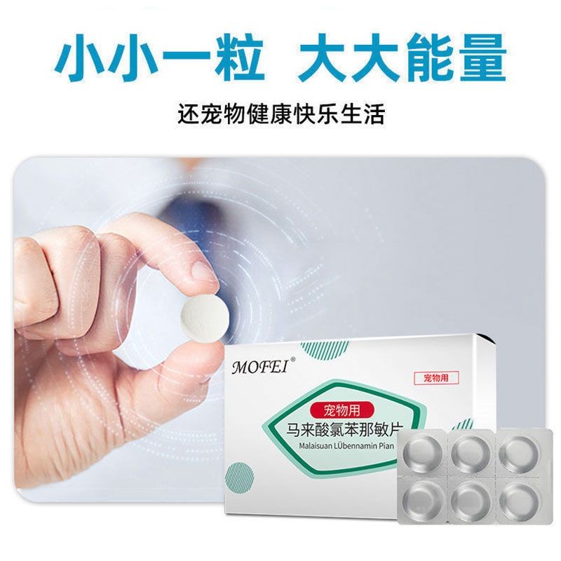 Pet Itching Medicine Dog Dermatology Cat Cat Cat Causis Eczema ...