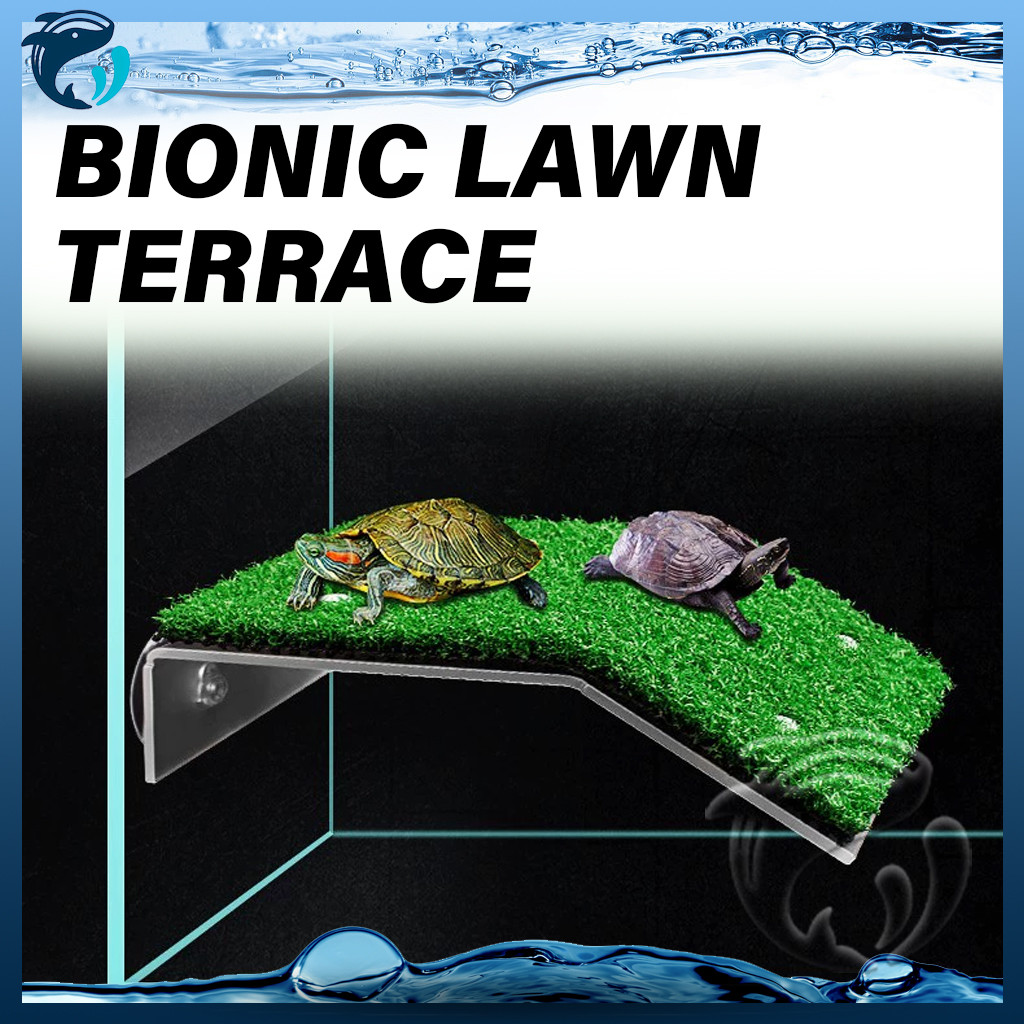 Turtle Basking Platform Turtle Climber for Aquarium Suction Cups ...