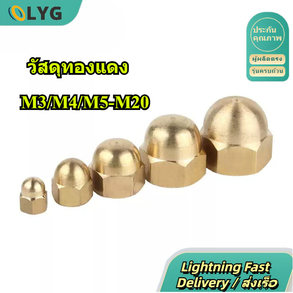 [LYG-YL] Copper Cap Nut Cap Nut Nut Copper Nut/M3/M4/M5-M20 (YL * 6-TH ...