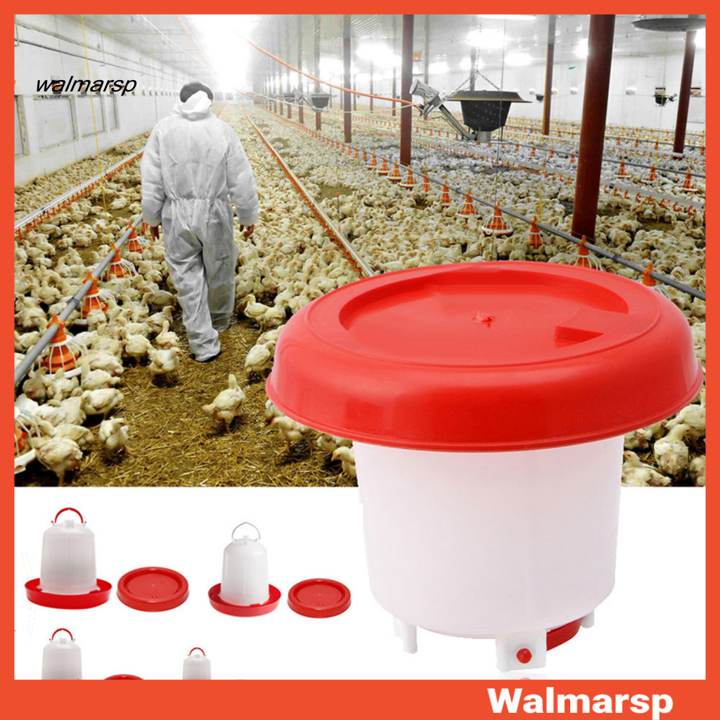 [WMP] 1Pc Chicken Feeder Drinker Poultry Chick Hen Quail Bantam Food ...