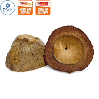 Shop bunot for Sale on Shopee Philippines