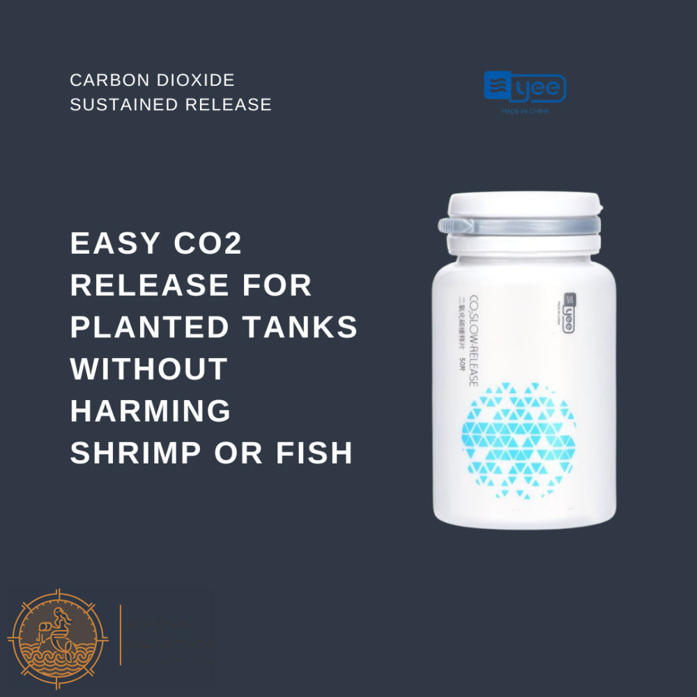 Yee Carbon Dioxide (CO2) Slow Release Tablets for Aquatic Plants in Planted Tanks (50 tablets ...