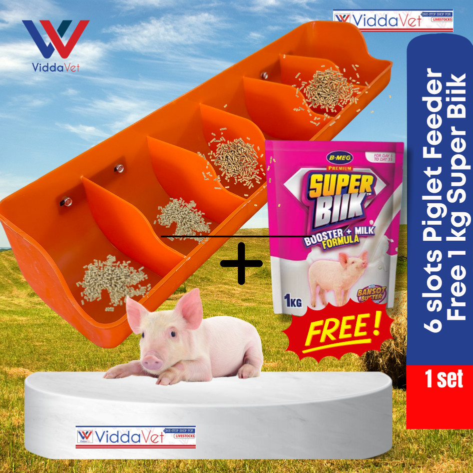 6-slot Piglet Feeding Automatic Feeder Plastic Piglet Trough Feeder For ...