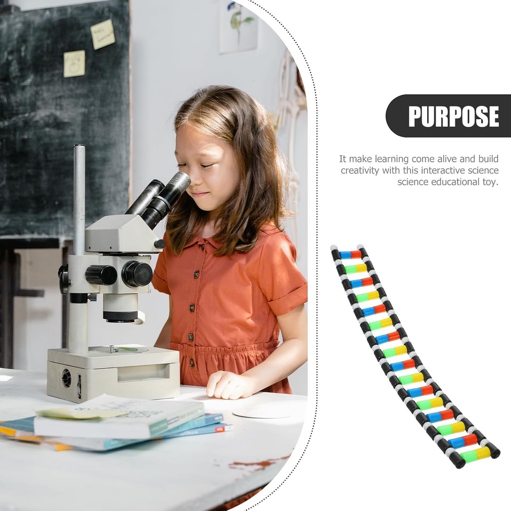 DNA Model Kit - Double Helix Model DNA Assembling Instrument for ...