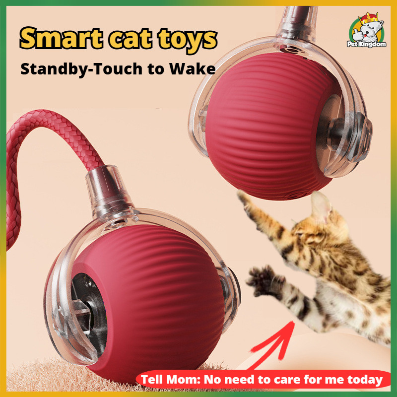 Smart Cat Toy Automatic Charging Electric Cat Ball Toy Fast Rolling Dog ...