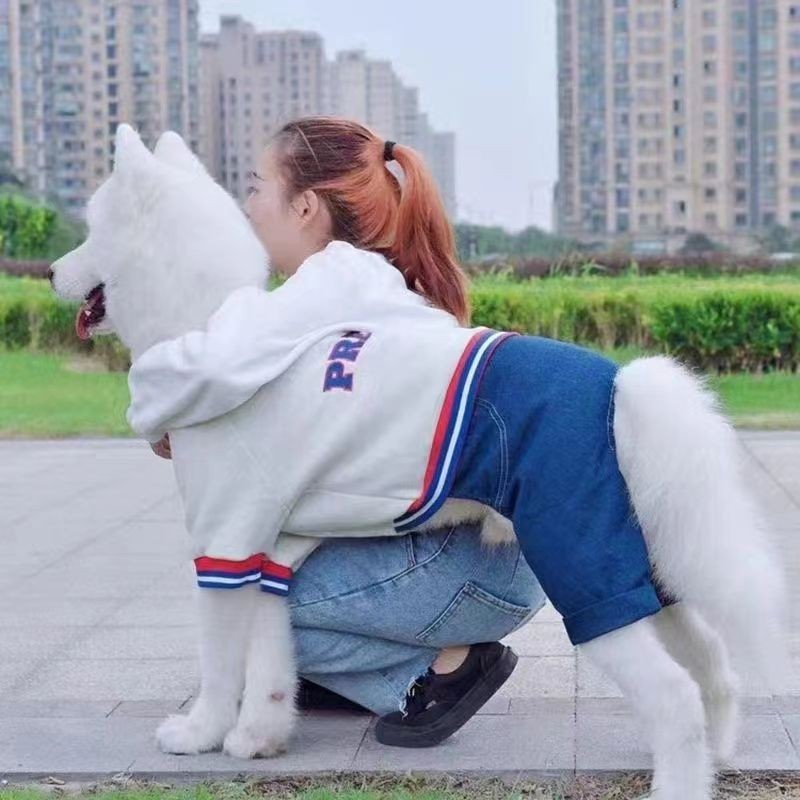 Big Dog Jumpsuit Winter Dog Jacket Pet Outfit for Golden Labrador ...