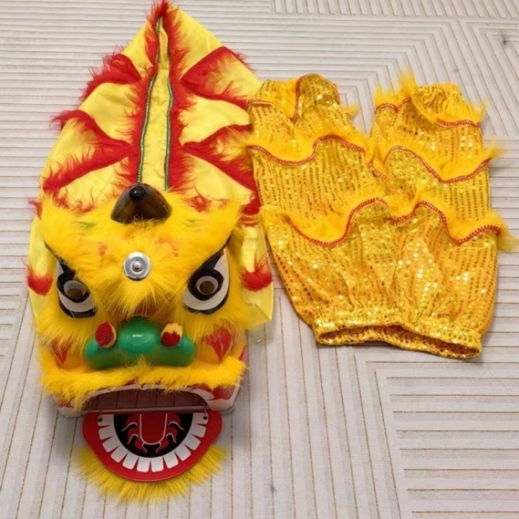 Lion Dance Student Lion Pants Children Props Full Set Lion Performance ...