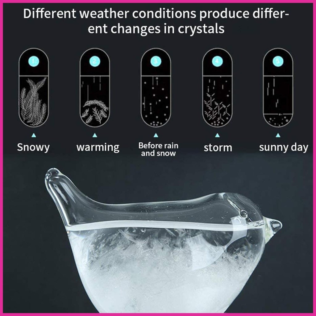 Storm Glass Weather Forecaster Storm Glass Bird Shape Weather Glass ...