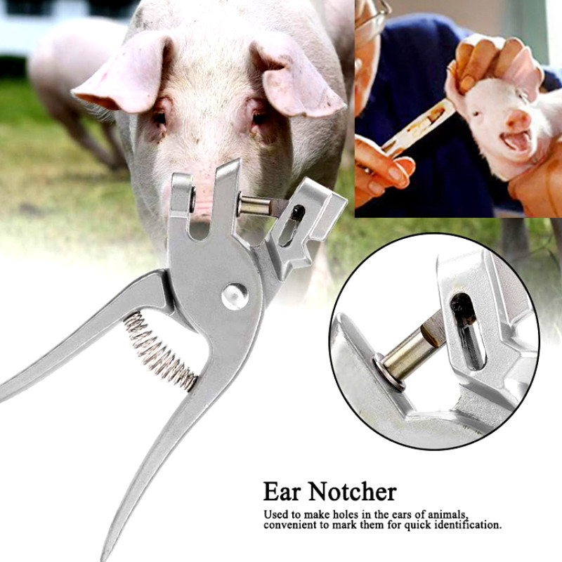 Ear Marking Pliers Pig Ear Notcher Ear Piercing Heavy Duty Tools for ...