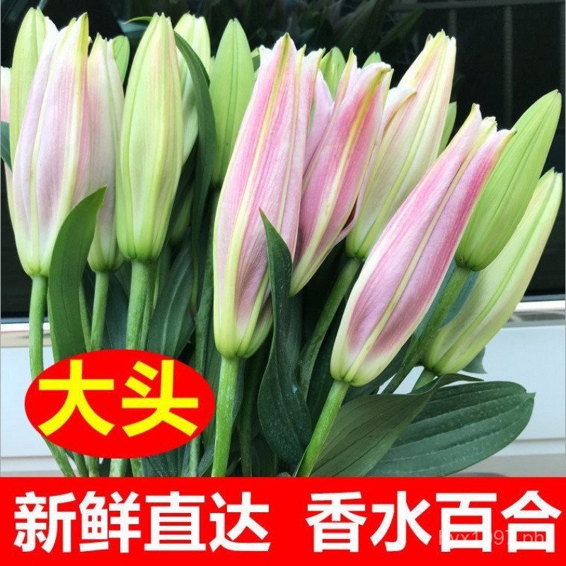 Fresh Flowers Lily Express Direct Delivery Roses Valentine's Day ...