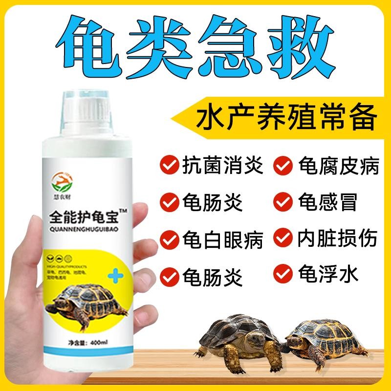 Raising Turtles Protecting Turtles Baby Rotten Skin Rotten Nails Rotten ...