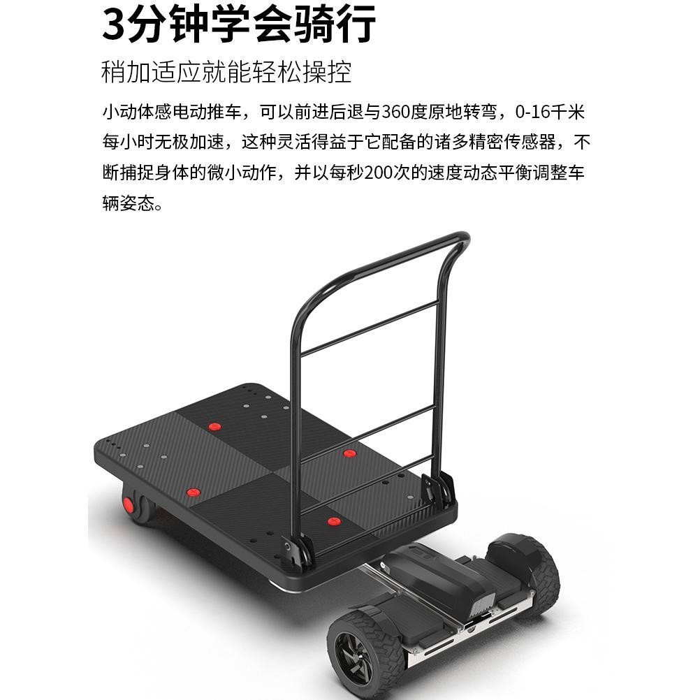 LITBOT Small Motion Sensing Electric Handcart for Grocery Shopping ...